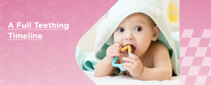 A Full Teething Timeline – Kiddies Kingdom Blog